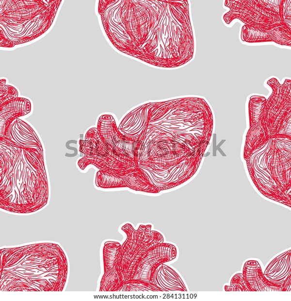 Handdrawn Sketch Style Real Human Heart Stock Vector (Royalty Free ...