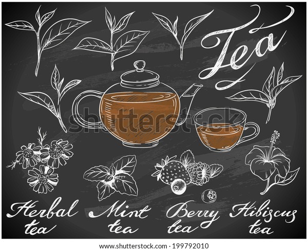 Handdrawn Tea Collection On Chalkboard Stock Vector (Royalty Free ...