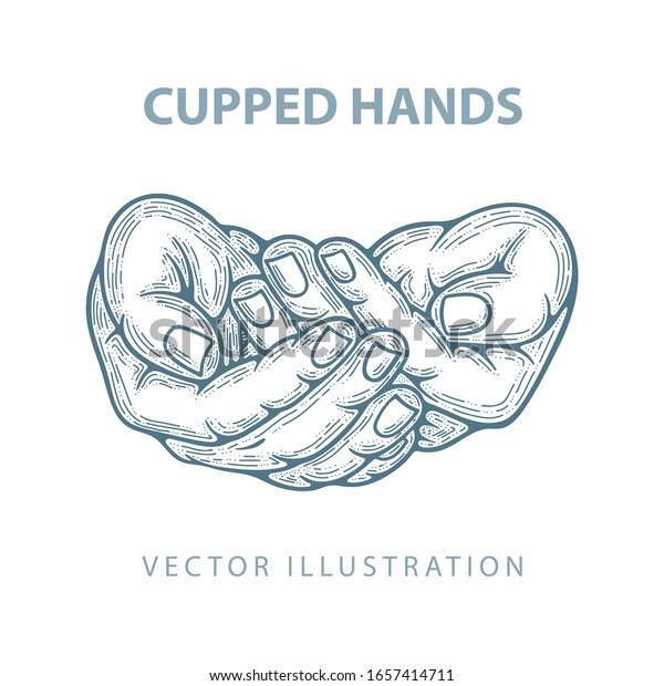 Vektor Stok Hands Hands Cupped Together Sketch Drawing (Tanpa Royalti ...