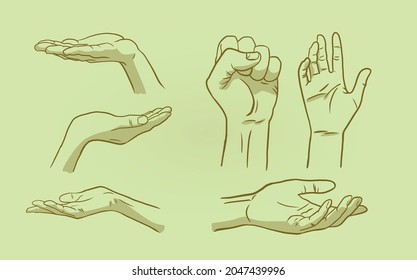 Hands Different Positions Closed Open Vector Stock Vector (Royalty Free ...