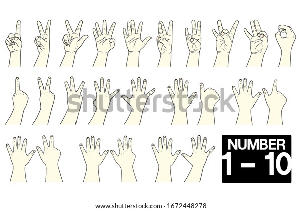 Hands Fingers Counting 1 10 Hand Stock Vector (Royalty Free) 1672448278
