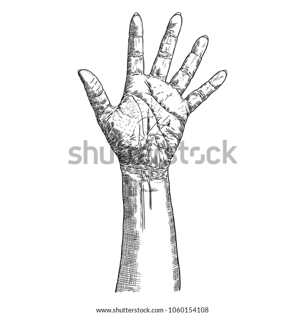Hands Gesture Emotion Hand Sign Isolated Stock Vector (Royalty Free ...