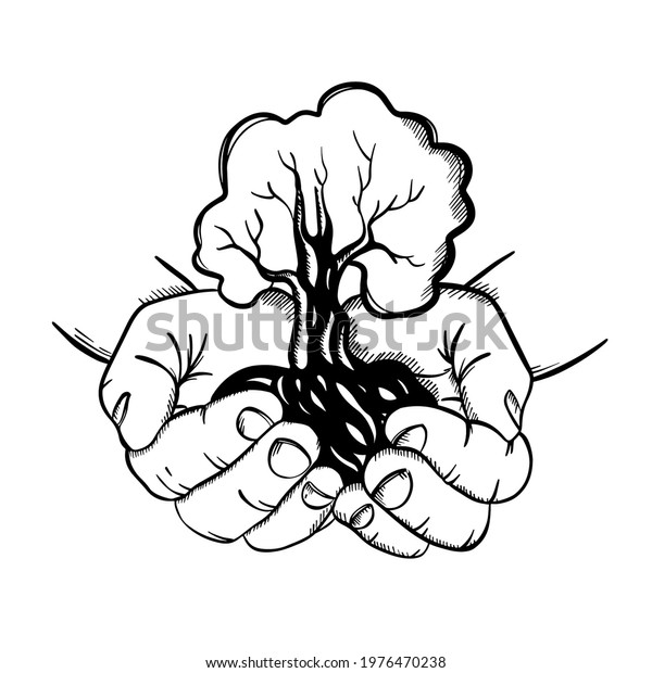 Hands Holding Tree Human Palms Symbol Stock Vector (Royalty Free ...