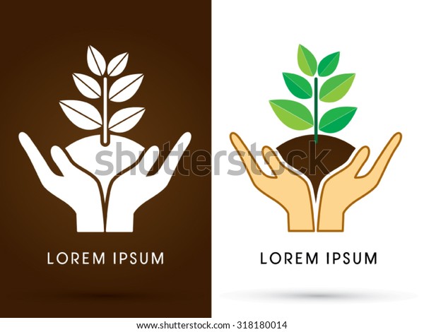 Hands Holding Tree Leaf Graphic Vector Stock Vector (Royalty Free ...
