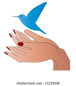 Hands Setting Humming Bird Free Stock Vector (Royalty Free) 11219038 ...