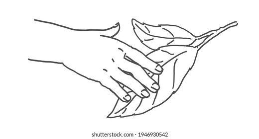 3,697 Leaf Hand Shake Images, Stock Photos & Vectors | Shutterstock