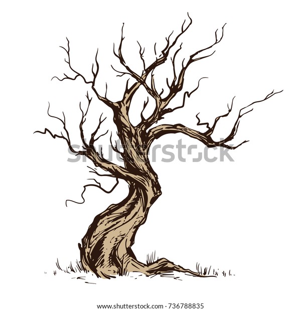 Handsketched Vintage Vector Illustration Old Crooked 库存矢量图（免版税 ...