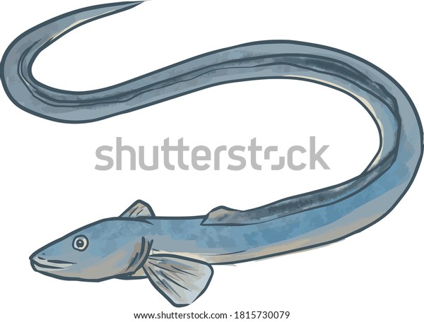 Handwritten Cute Simple Eel Illustration Stock Vector (Royalty Free ...