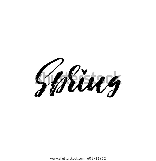 Handwritten Lettering Spring Hand Drawn Calligraphy Stock Vector ...