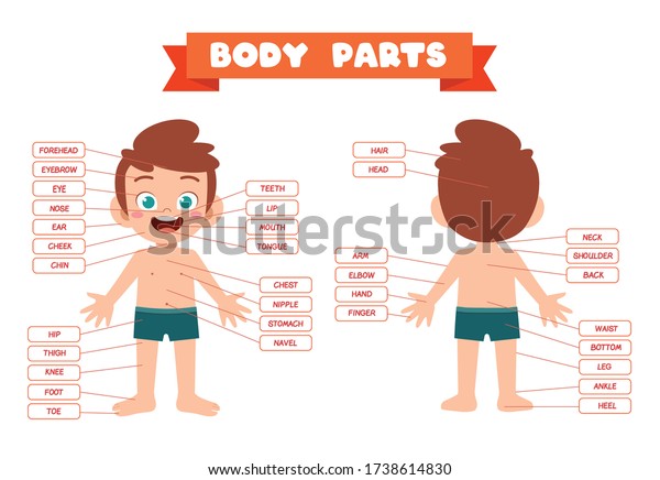 happy cute kid boy body part anatomy