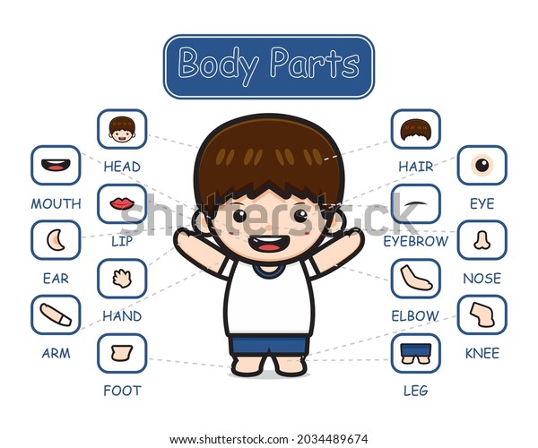 Happy Cute Kid Boy Body Part Stock Vector (Royalty Free) 2034489674 ...