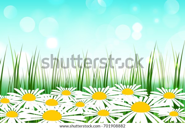 Happy Spring Season Background Daisy Flower Stock Vector (Royalty Free ...