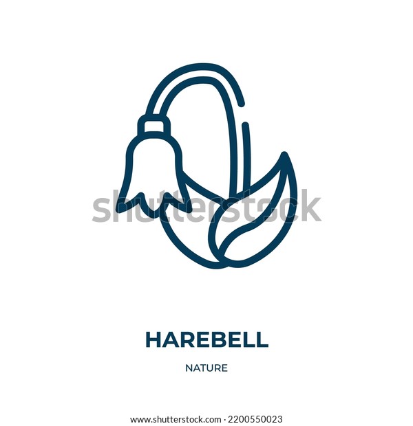 Harebell Icon Linear Vector Illustration Nature Stock Vector (Royalty ...