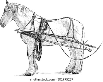 6,220 Working Horses Stock Vectors, Images & Vector Art | Shutterstock