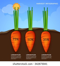 Harvest Chart Vegetable Infographic Stock Vector (Royalty Free ...