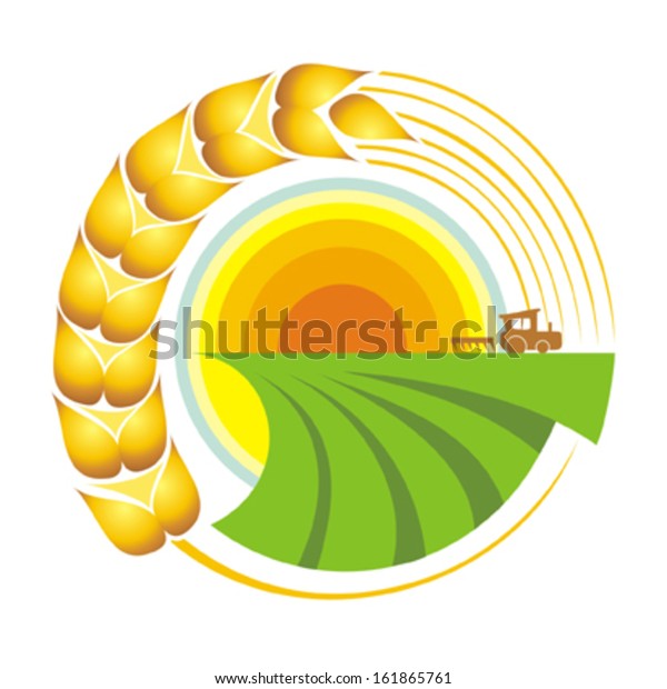 Harvest Vector Illustration Stock Vector (Royalty Free) 161865761 ...