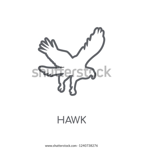 Hawk Linear Icon Modern Outline Hawk Stock Vector (Royalty Free ...