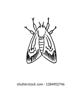 Vektor Stok Hawk Moth Vector Doodle Sketch Isolated (Tanpa Royalti ...