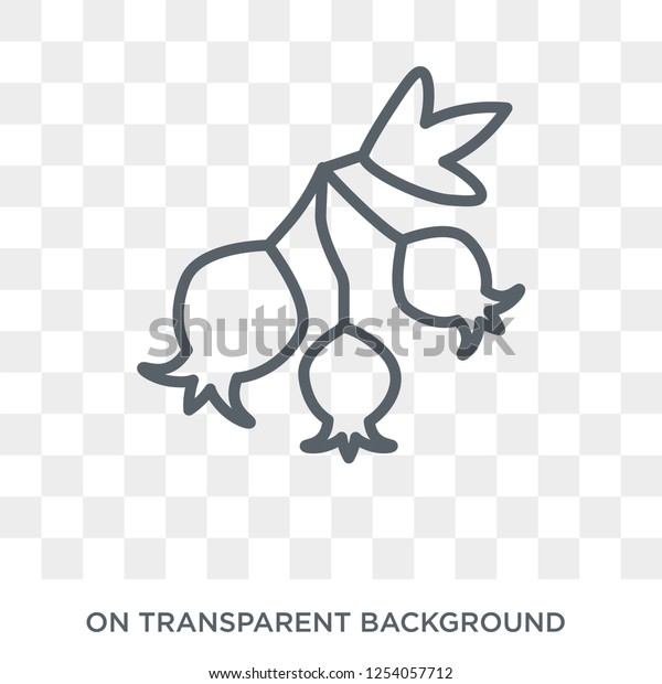 Hawthorn Icon Trendy Flat Vector Hawthorn Stock Vector (Royalty Free ...
