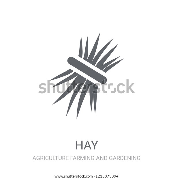 Hay Icon Trendy Hay Logo Concept Stock Vector (Royalty Free) 1215873394 ...