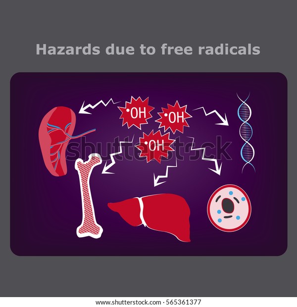 Hazards Due Free Radicals Stock Vector (Royalty Free) 565361377