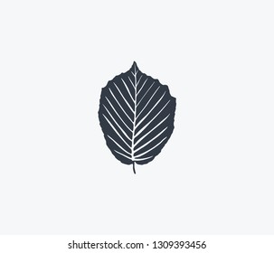 Hazel tree leaf Stock Vectors, Images & Vector Art | Shutterstock