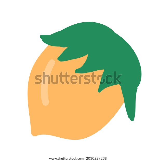 Hazelnut Doodle Cartoon Style Vector Element Stock Vector (Royalty Free ...