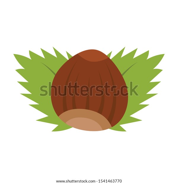 Hazelnut Flat Icon On White Transparent Stock Vector (Royalty Free) 1541463770 | Shutterstock