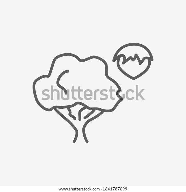 Hazelnut Tree Icon Line Symbol Isolated Stock Vector (Royalty Free ...