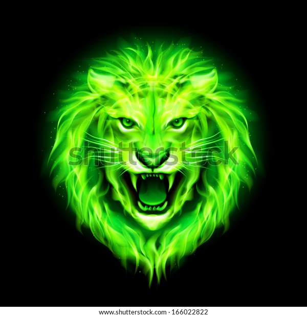 Head Aggressive Green Fire Lion Isolated Stock Vector (Royalty Free ...