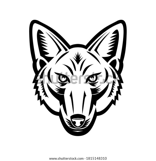Head American Jackal Front View Retro Stock Vector (Royalty Free ...