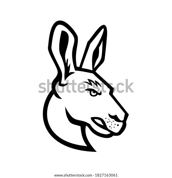 Head Angry Kangaroo Side View Mascot Stock Vector (Royalty Free ...