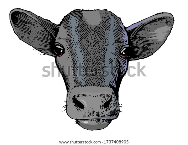 Head Black Calf Front View Retro Stock Vector (Royalty Free) 1737408905 ...