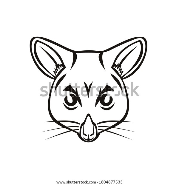 Head Common Brushtail Possum Trichosurus Vulpecula Stock Vector ...