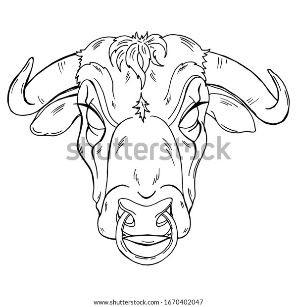 Head Evil Bull Ring Nose Vector Stock Vector (Royalty Free) 1670402047 ...