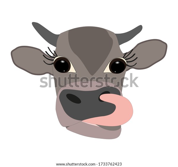 Head Graybrown Cow Big Eyes Tongue Stock Vector (Royalty Free ...