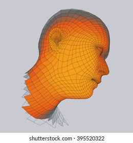 Head Person 3d Grid Human Head Stock Vector (Royalty Free) 395520322 ...