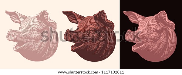 Head Pig Design Set Hand Drawn Stock Vector (Royalty Free) 1117102811 ...