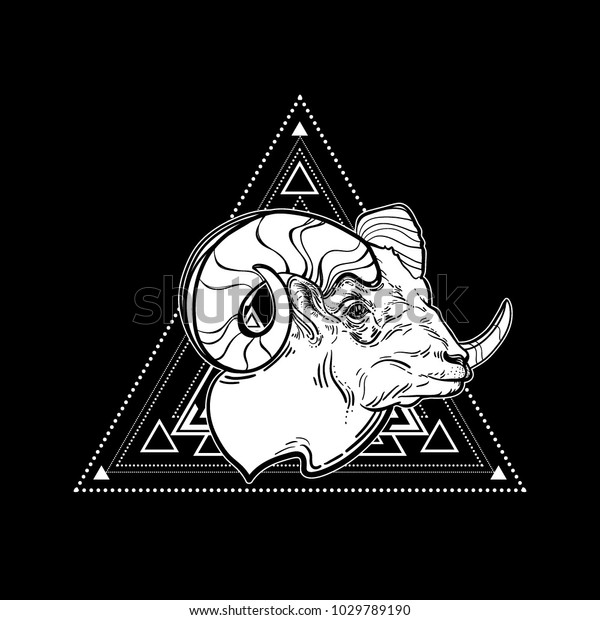 Head Ram Sheep Vector Illustration Isolated Stock Vector (Royalty Free ...