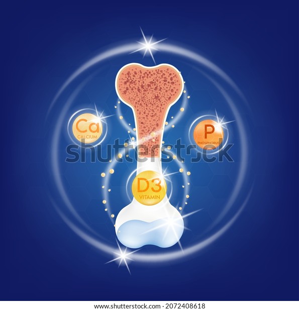 Healthy Bone Human Bone Anatomy Skeleton Stock Vector (Royalty Free ...