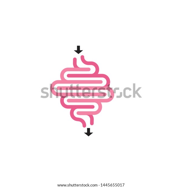 Healthy Digestion Vector Illustration Isolated On Stock Vector (Royalty ...