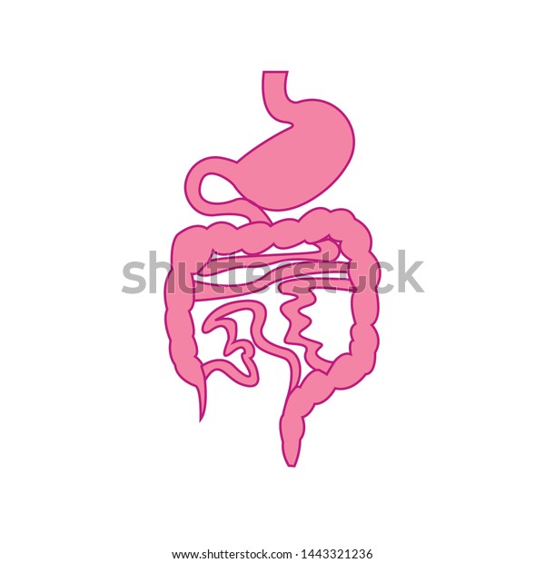 Healthy Digestion Vector Logo Illustration Isolated Stock Vector ...