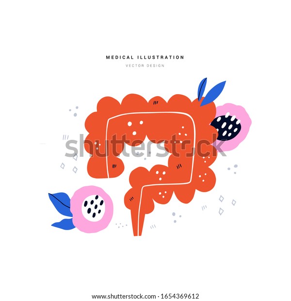 Healthy Human Intestine Vector Flat Illustration Stock Vector (Royalty ...