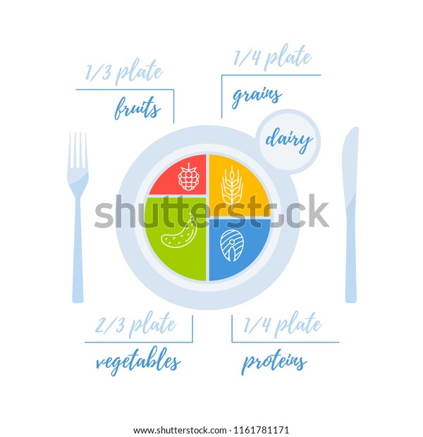 Healthy Plate Concept Vector Illustration Balanced Stock Vector ...