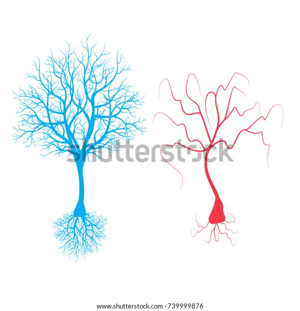460 Neuron death 图片、库存照片和矢量图 | Shutterstock