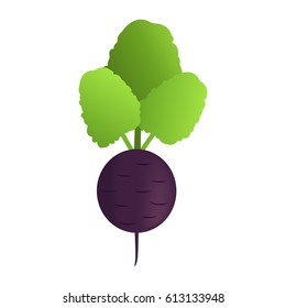 Healthy Vegetables Infographics Beetroot Vitamins Minerals Stock Vector ...