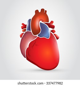 Vector Illustration Human Heart Mesh Colour: เวกเตอร์สต็อก (ปลอดค่า ...