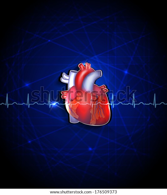 Heart Anatomy On Deep Blue Background Stock Vector (Royalty Free ...