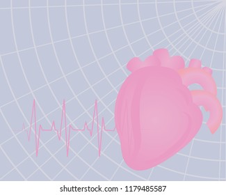 Heart Beating Electrocardiogram Colorful Drawing Medical Stock Vector ...