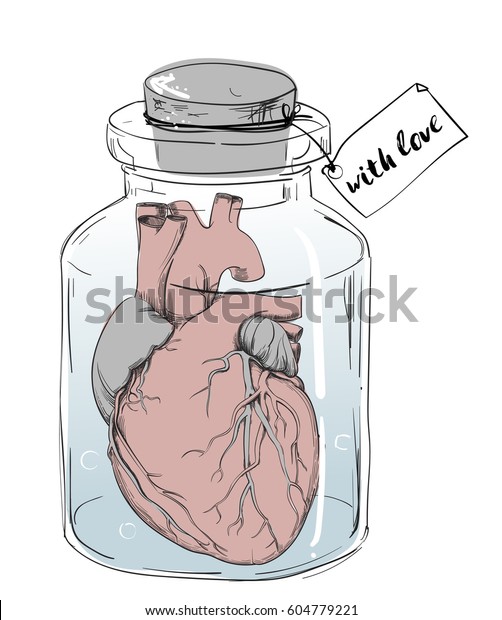 Heart Funny Anatomy Joke Stock Vector (Royalty Free) 604779221 ...